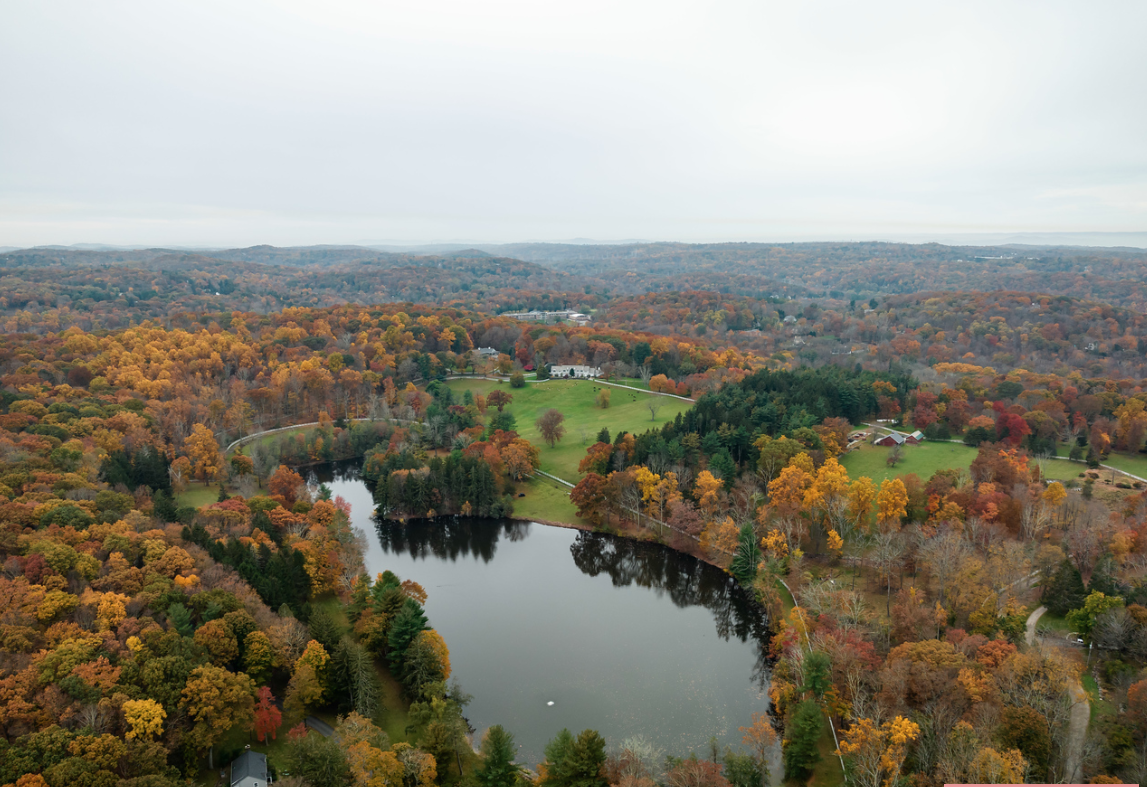 The Farm — The Farm at Cabbage Hill