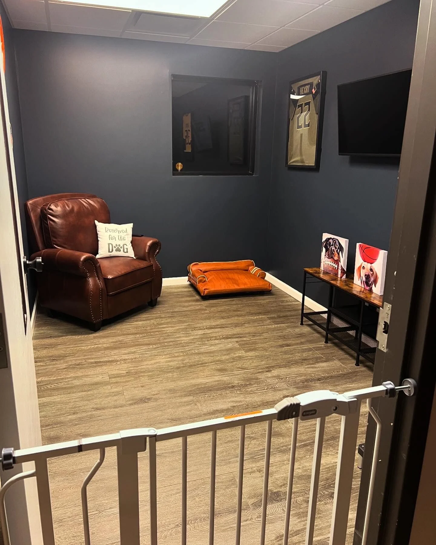 Dog Lodging — Rocky Top Pet Resort