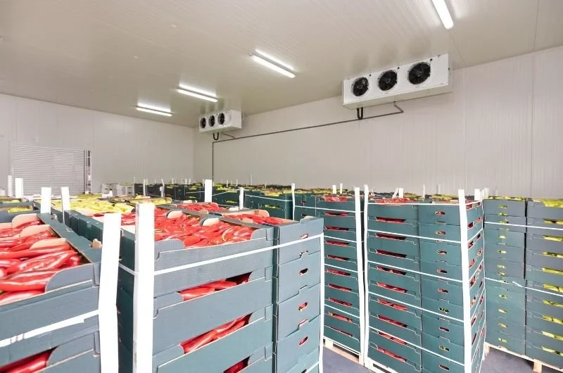 Racking & Shelving Services | SteelMark - Storage Solutions in Kuwait — Steel Mark