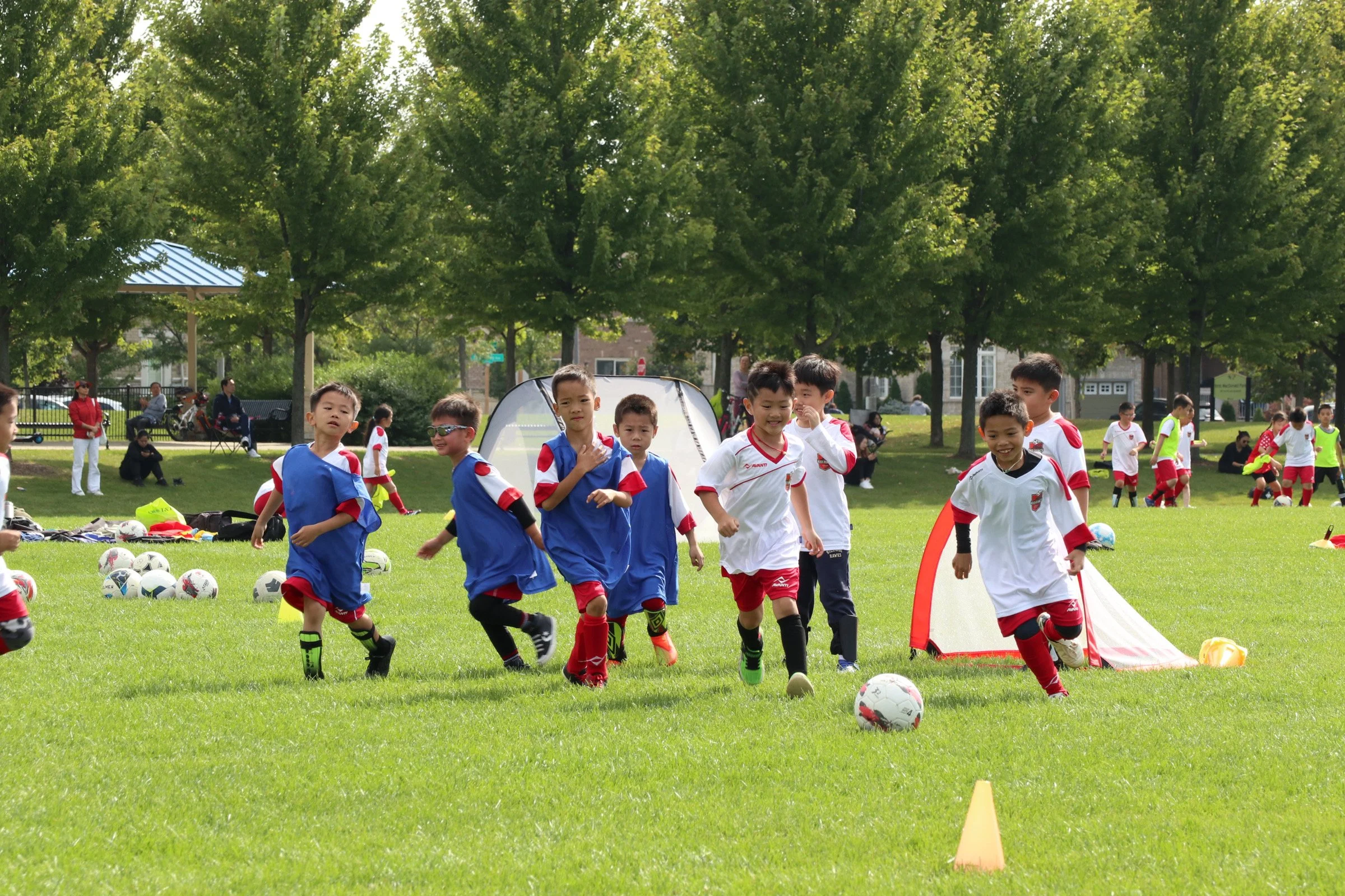 Red Force Soccer Club | Expert Soccer Training for Kids Toronto