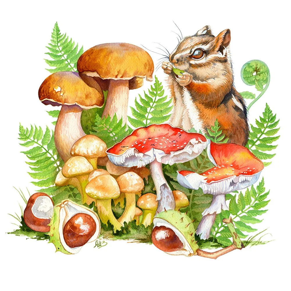 Watercolor Classes — Anna Bucciarelli