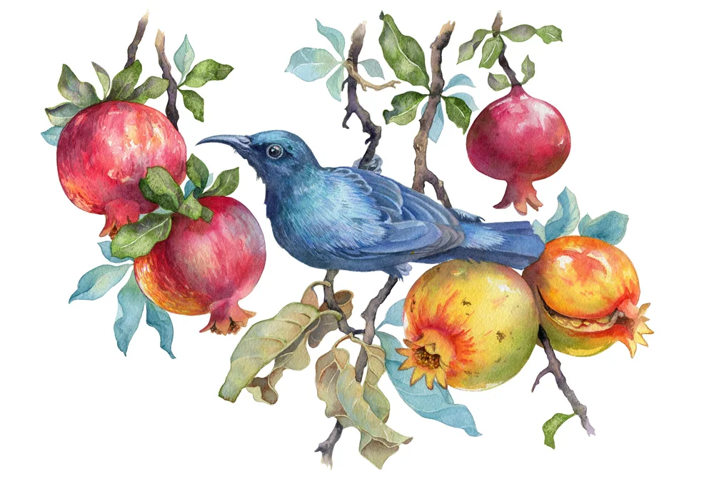 Watercolor Birds & Blooms — Anna Bucciarelli