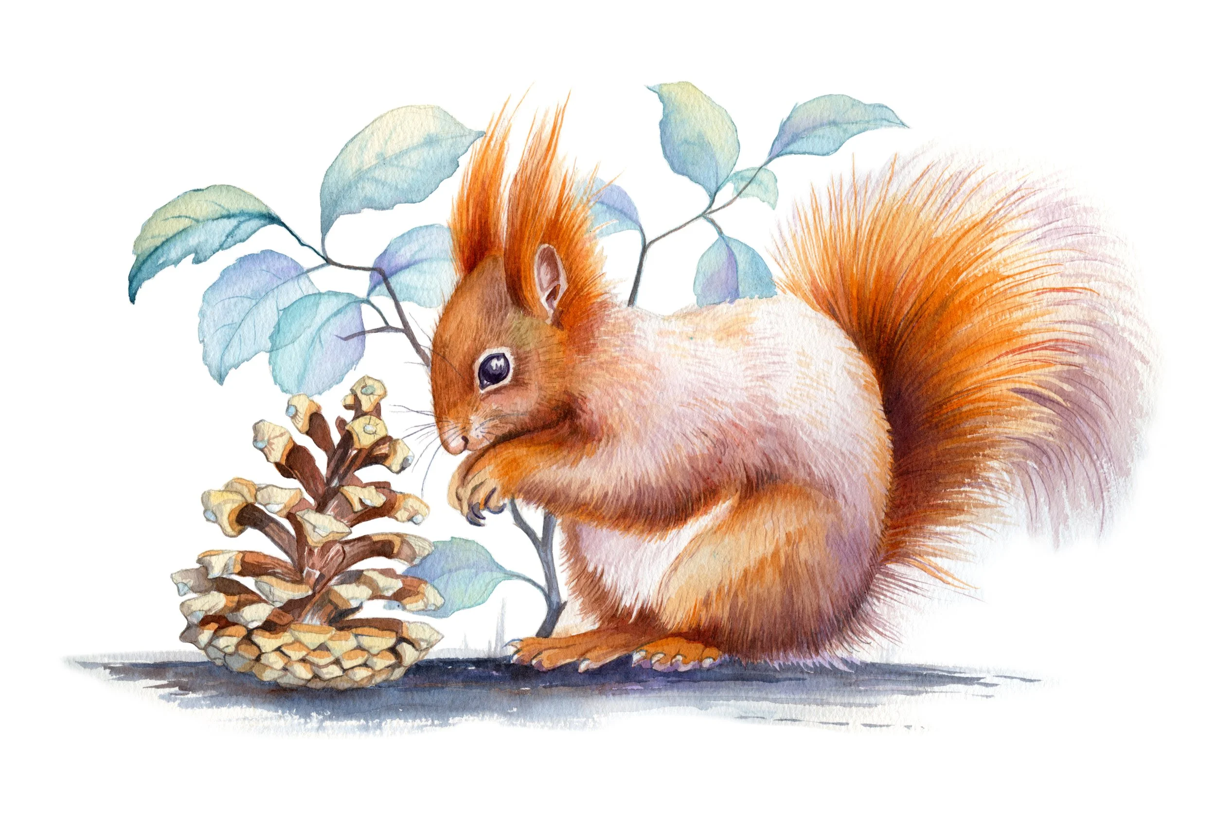 Watercolor Classes — Anna Bucciarelli