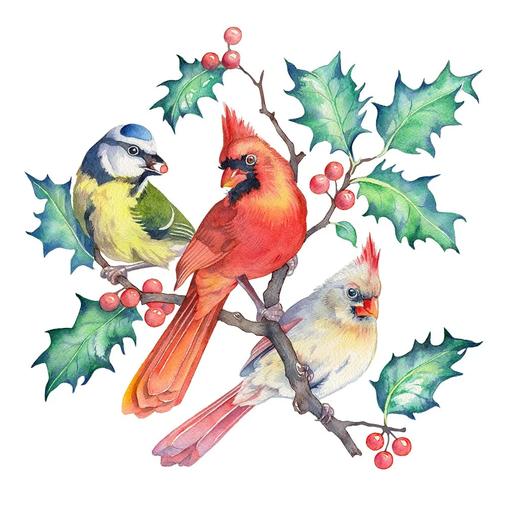 Watercolor Classes — Anna Bucciarelli