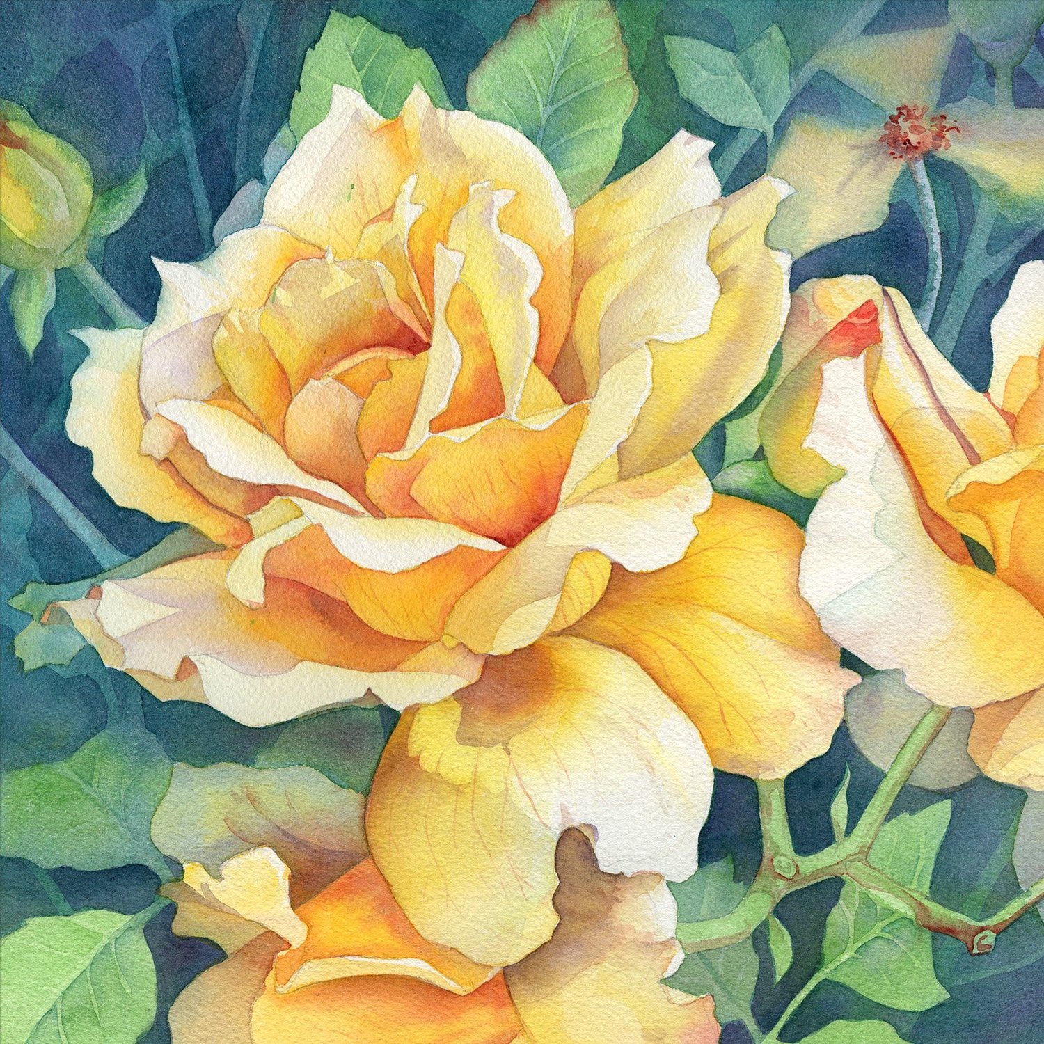 Watercolor Classes — Anna Bucciarelli