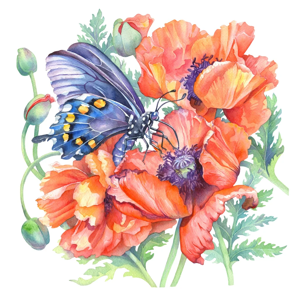 Watercolor Flowers — Anna Bucciarelli