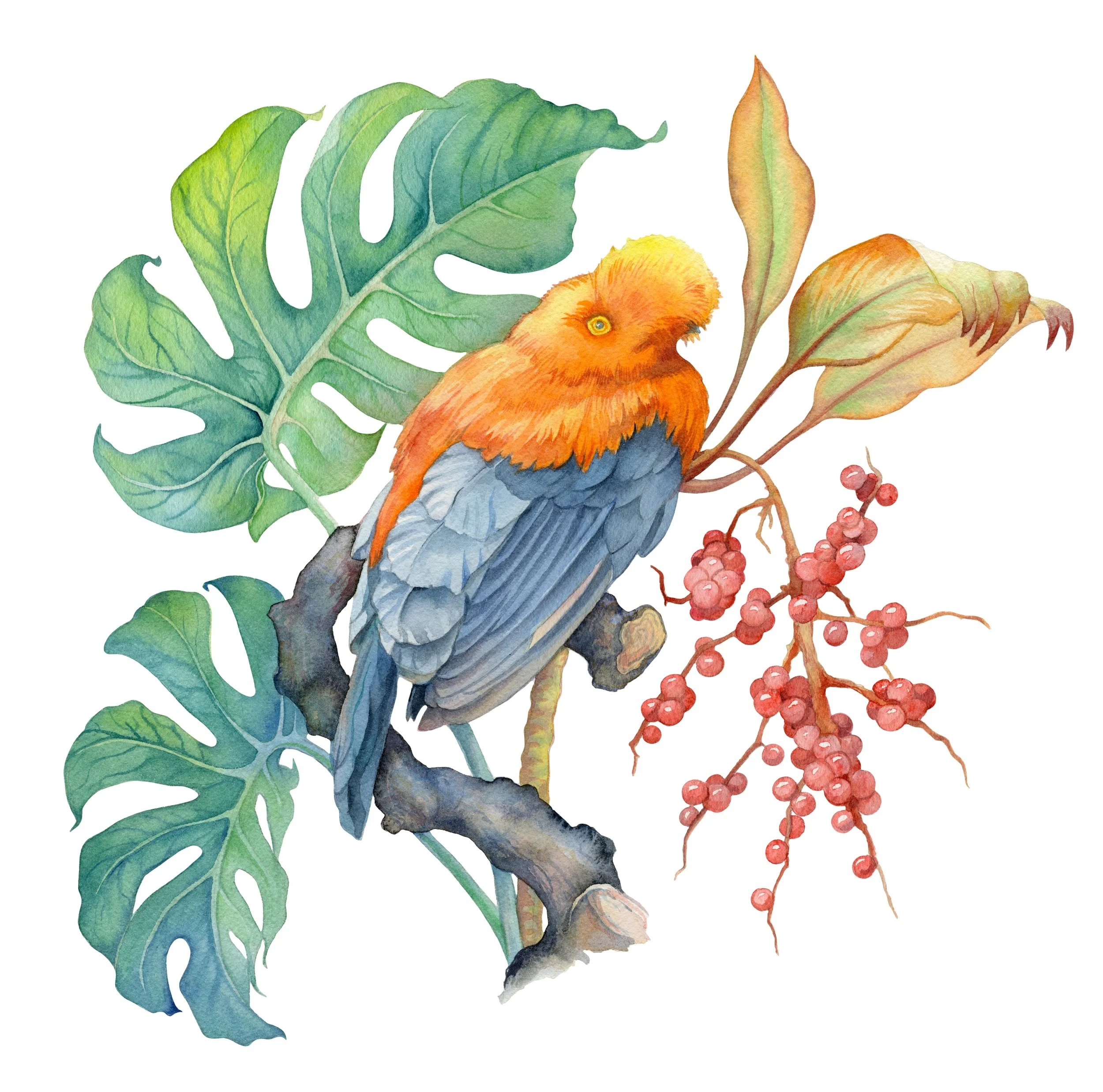 Watercolor Classes — Anna Bucciarelli