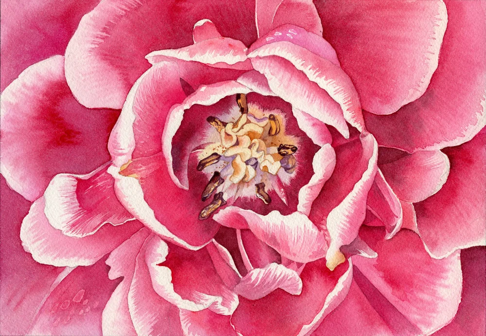 Watercolor Flowers — Anna Bucciarelli