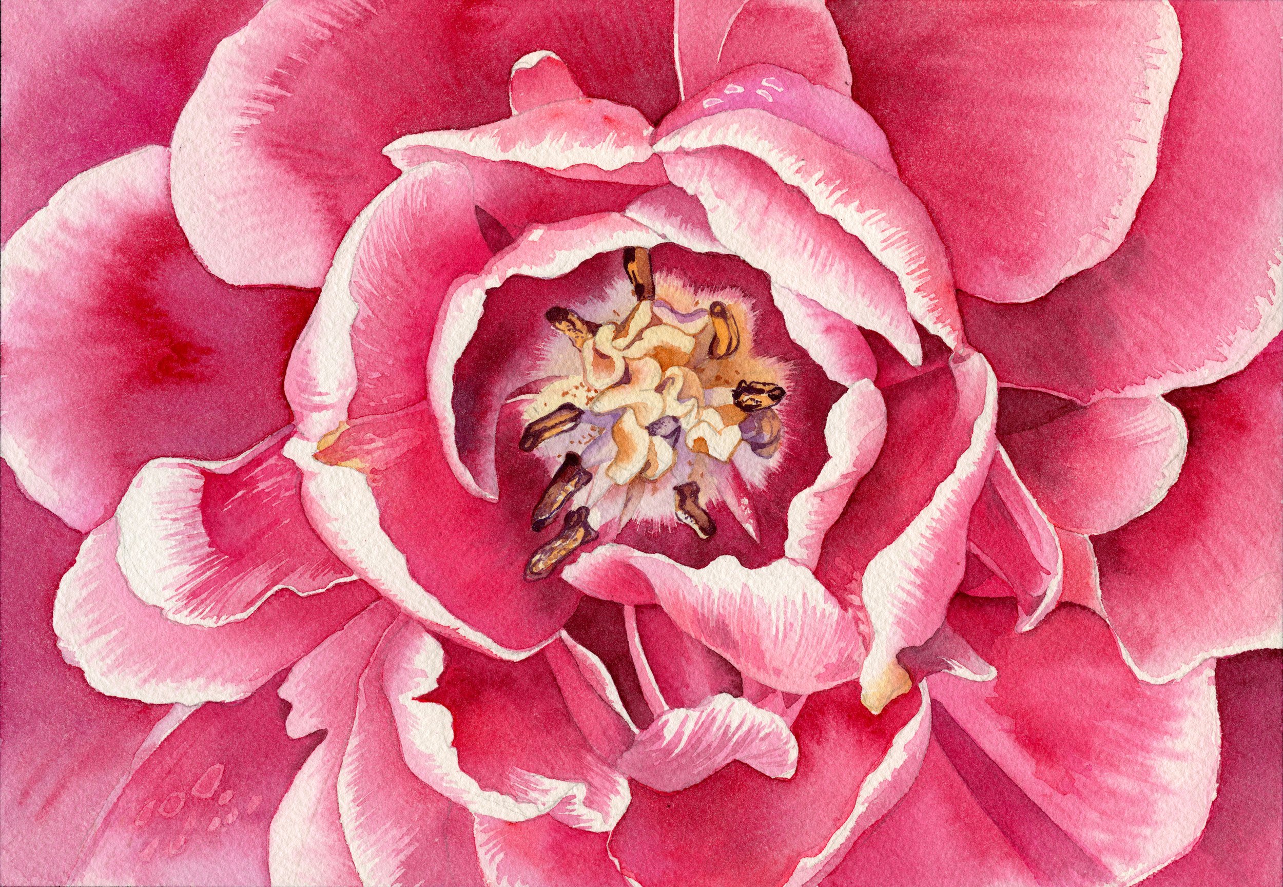 Watercolor Flowers — Anna Bucciarelli