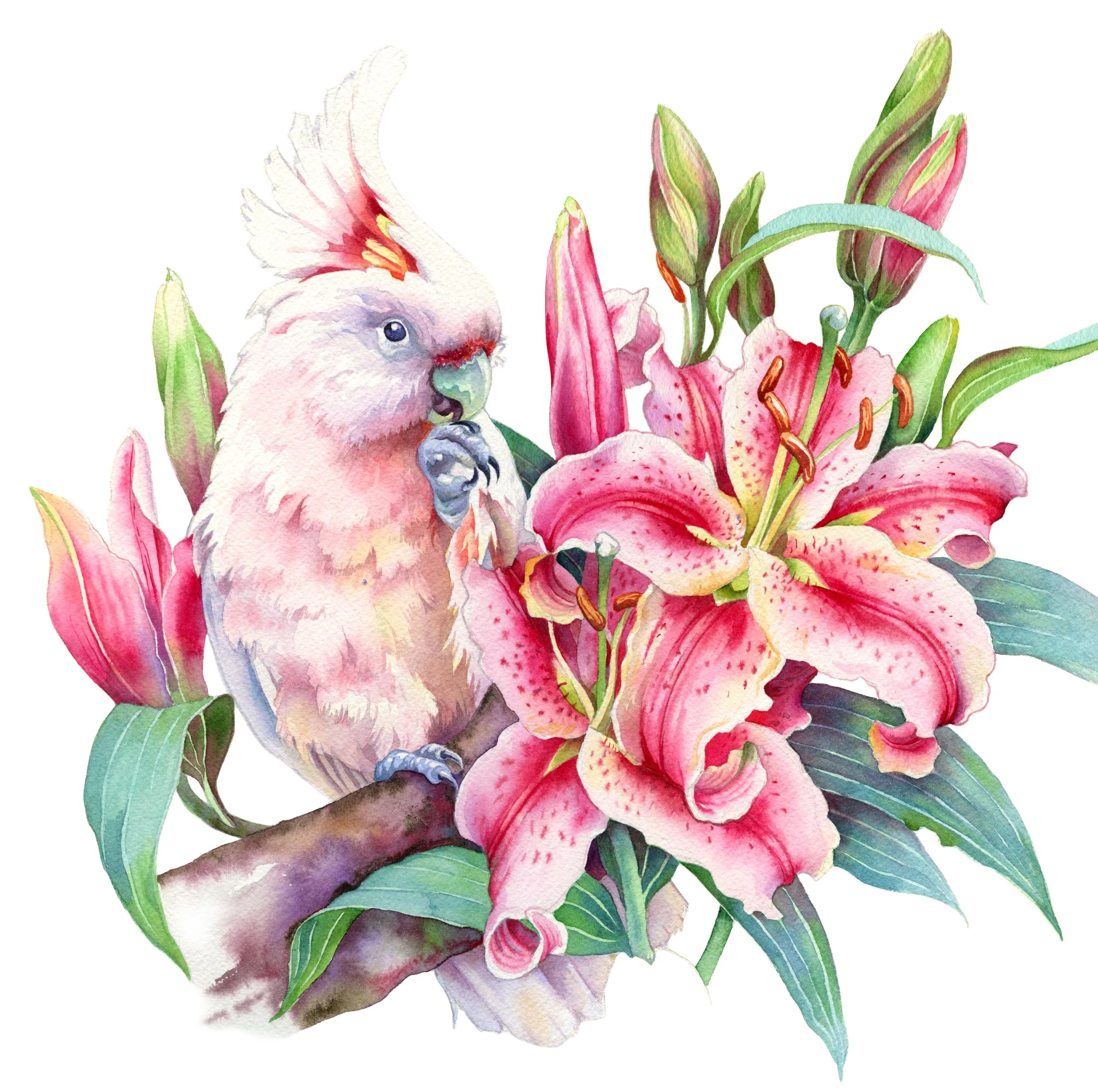 Watercolor Birds & Blooms — Anna Bucciarelli