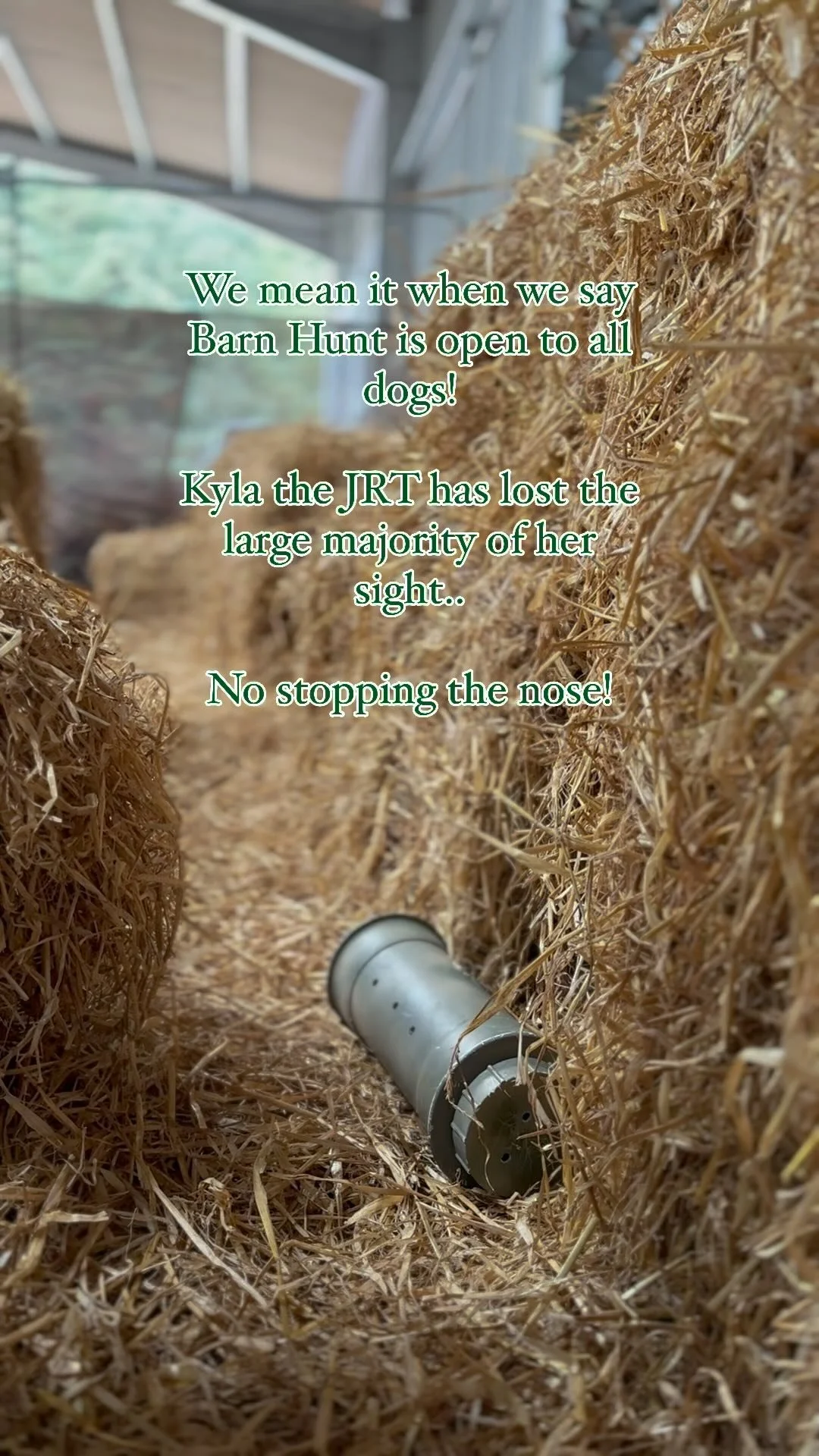 Central Scotland Barn Hunt