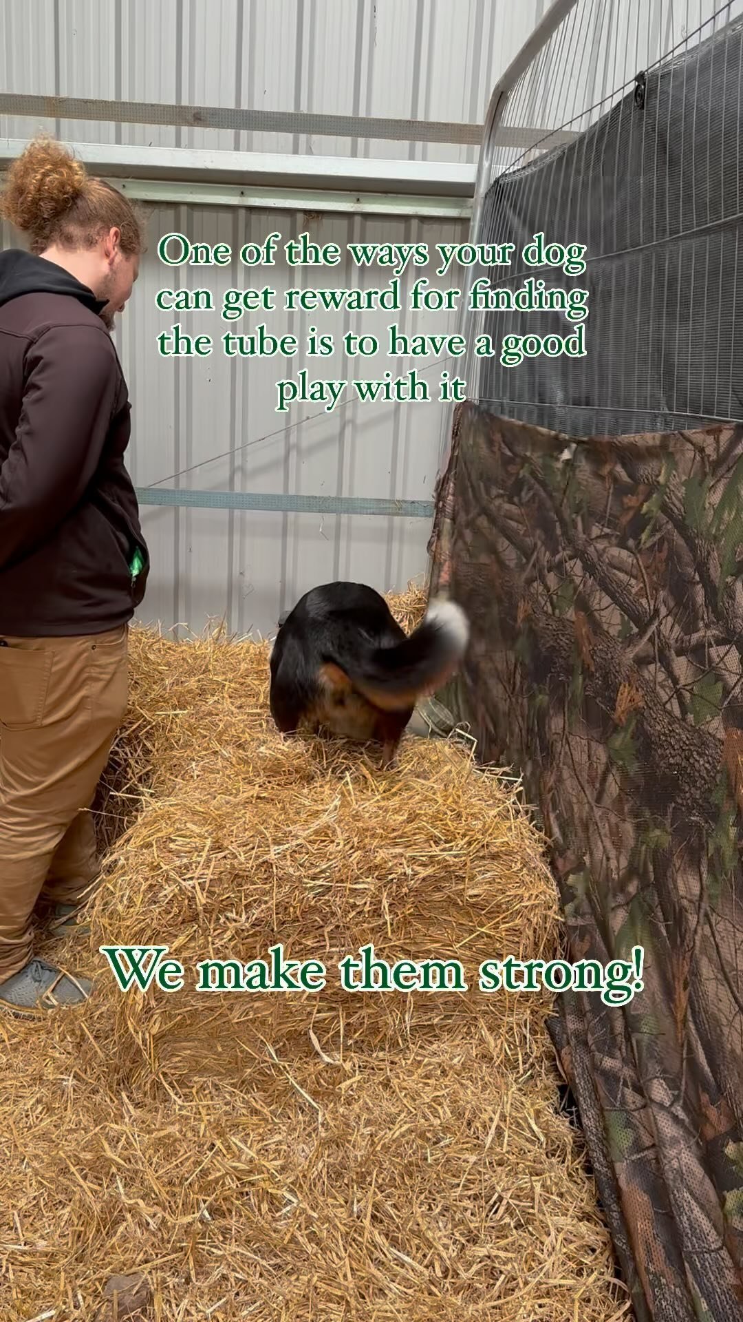 Central Scotland Barn Hunt