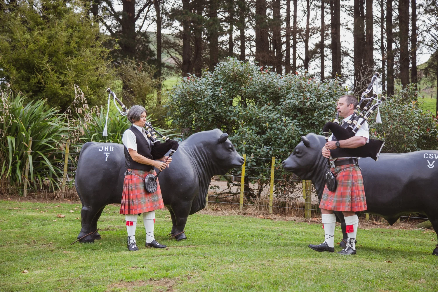 Sales — Hallmark Angus