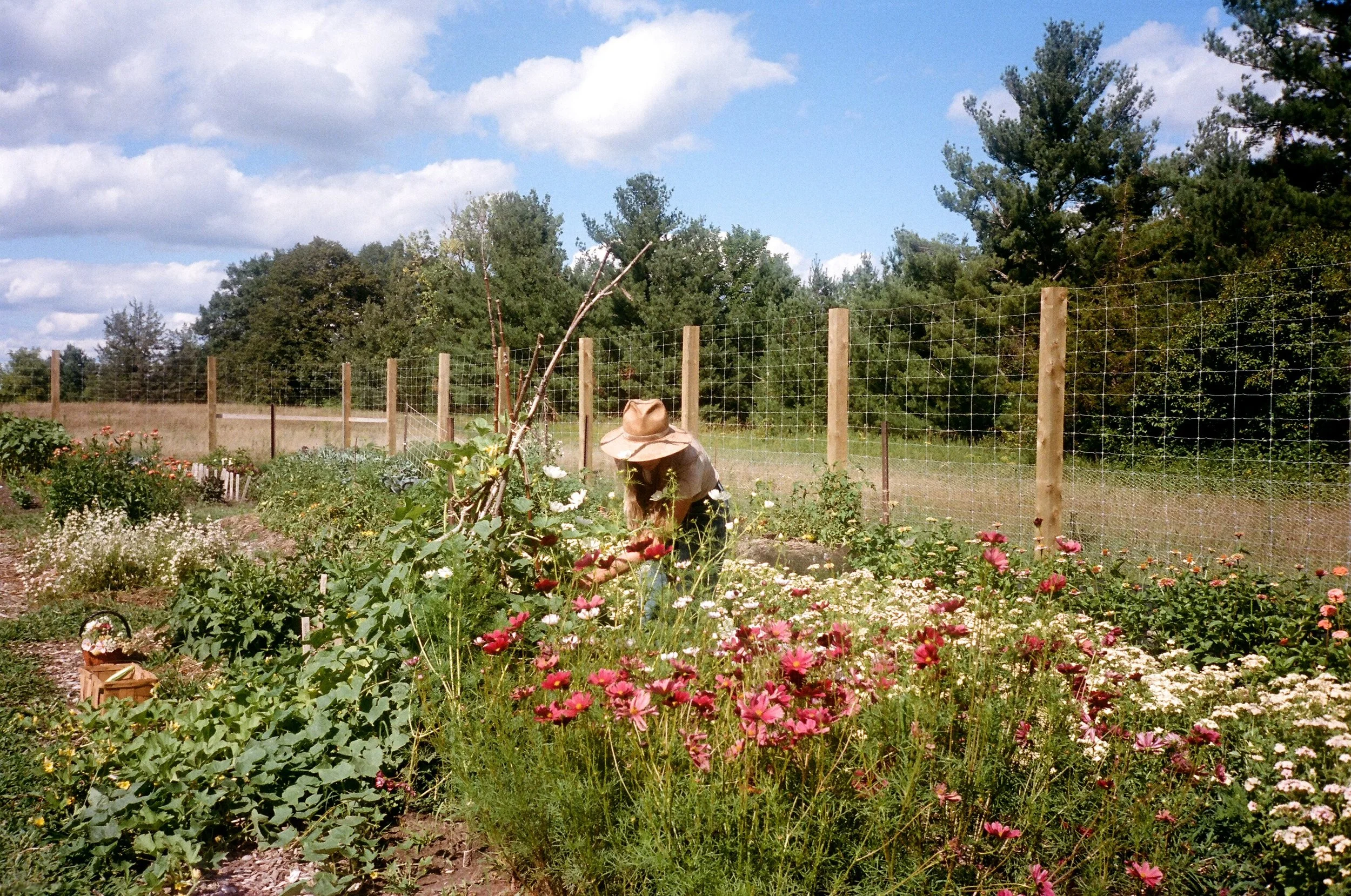 About — WILDING FARMSTEAD