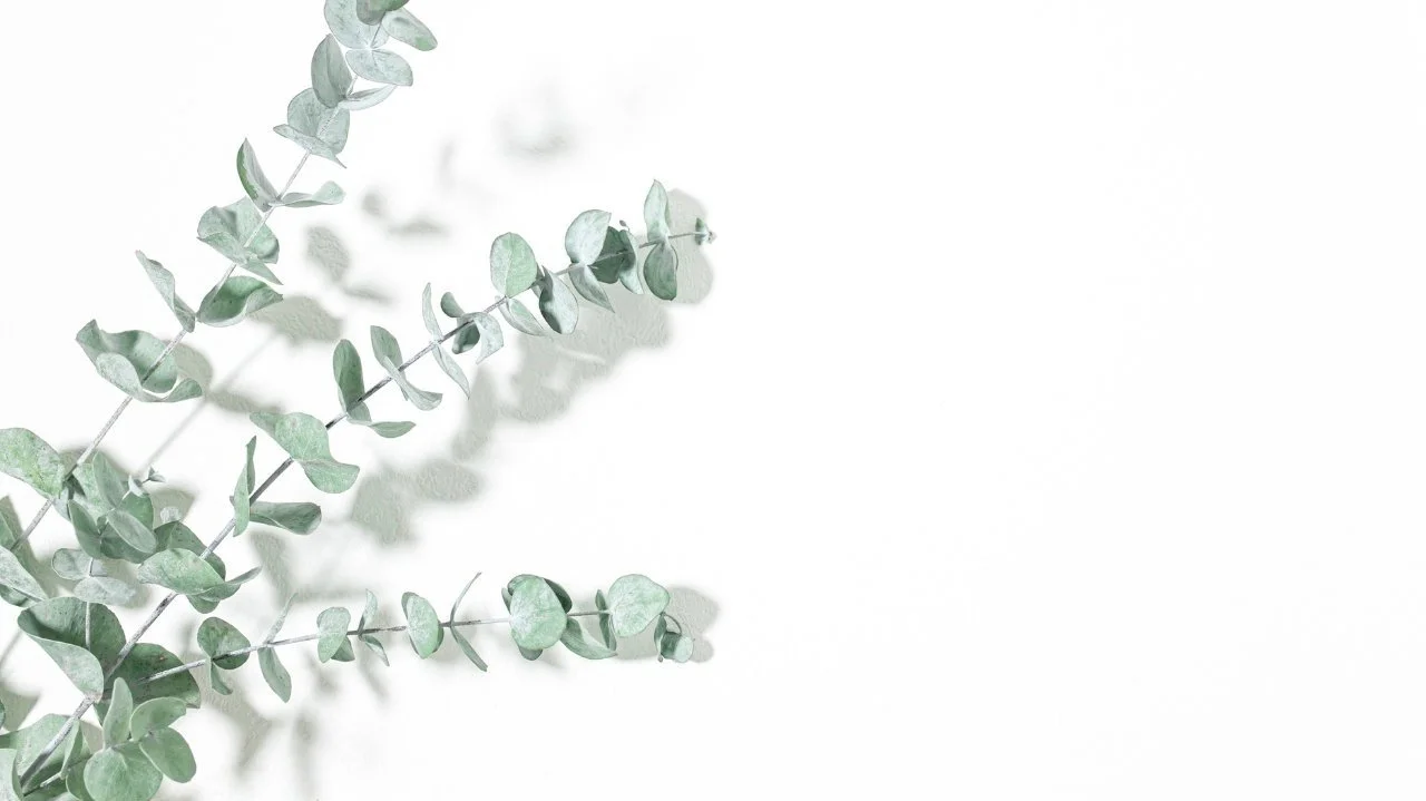 About Us — perfeQTion imaging