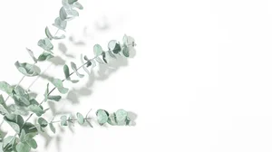 About Us — perfeQTion imaging