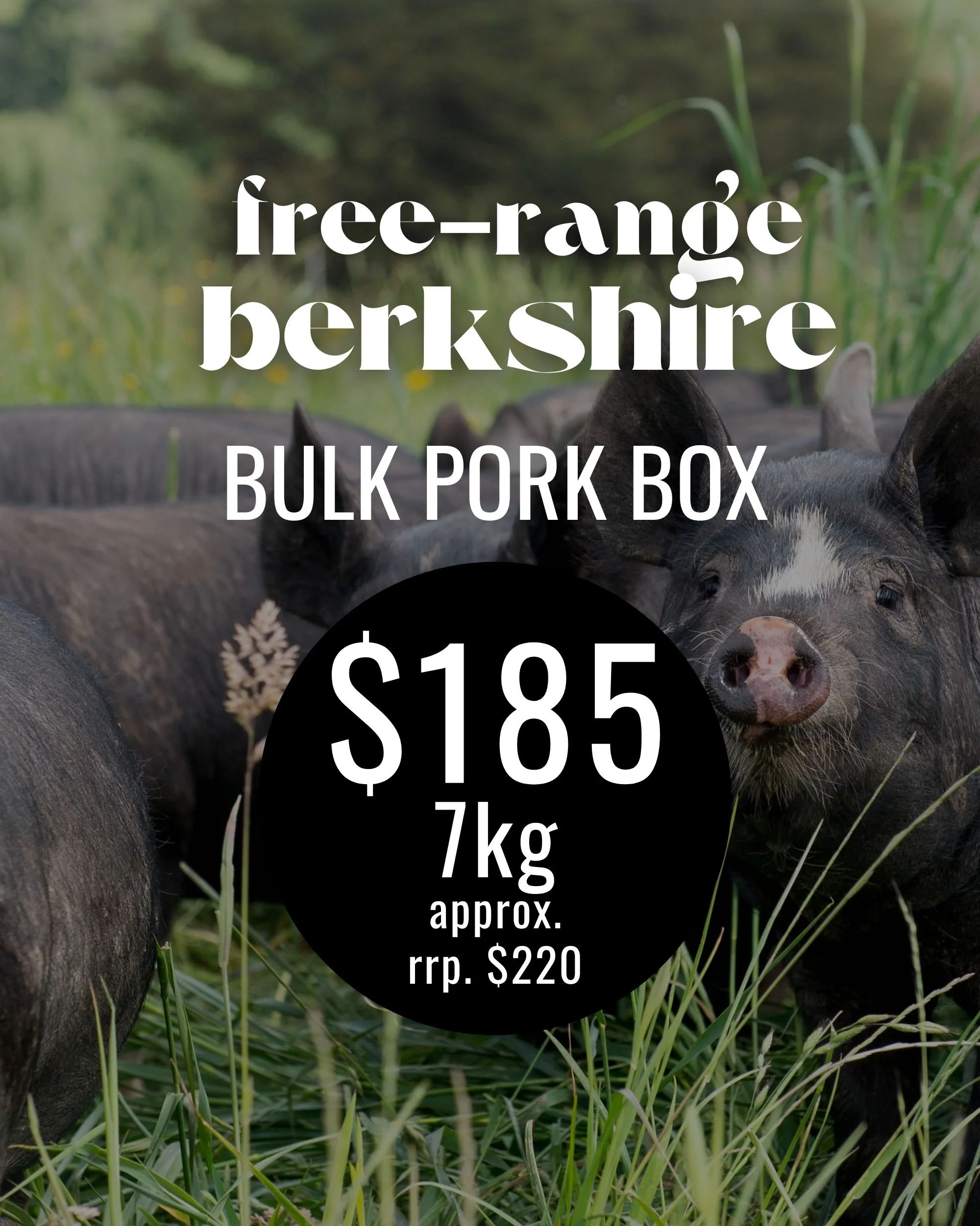 Bulk Pork Box — McIvor Farm Foods