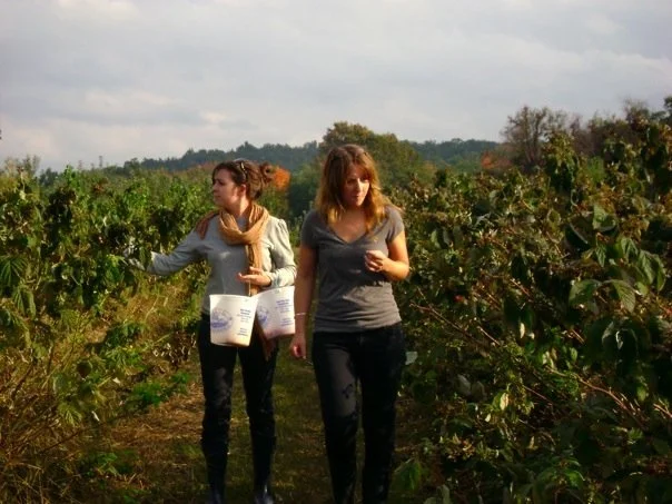 About — Edible Anarchy