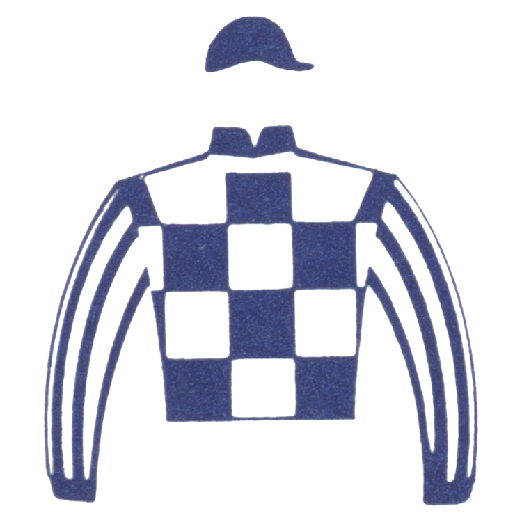 Bold Ruler, Sire of Secretariat — SECRETARIAT