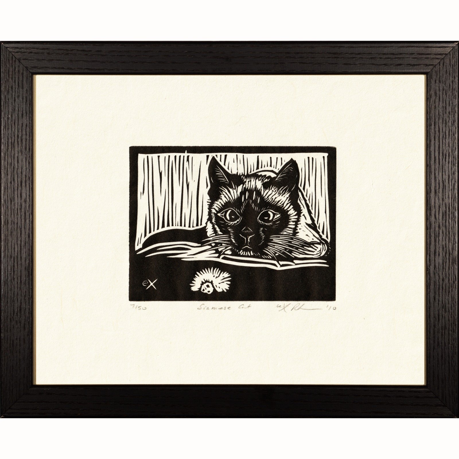 eXavier Peterson — Artists' Network