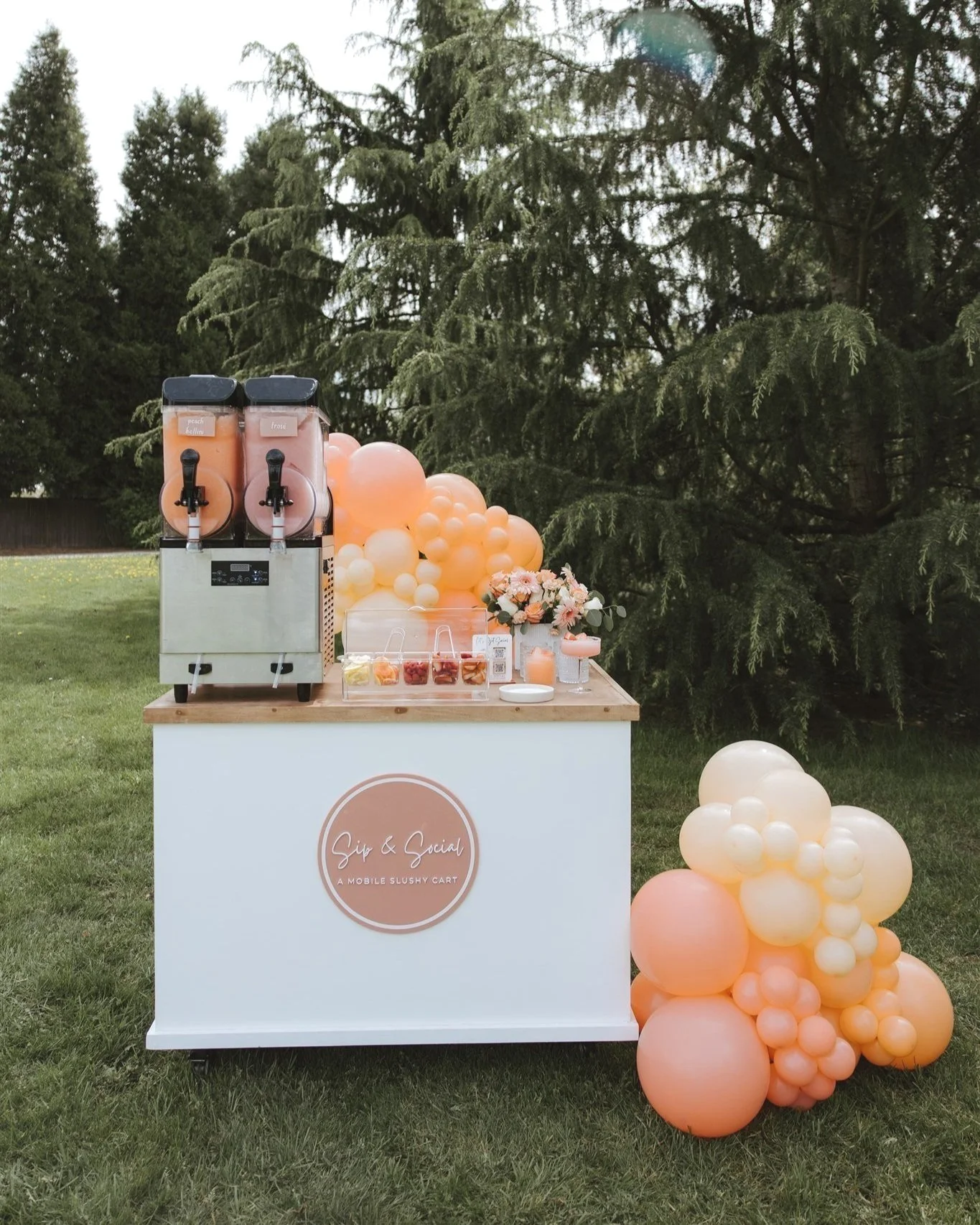 Boozy Slushy Cart Gallery — Sip and Social