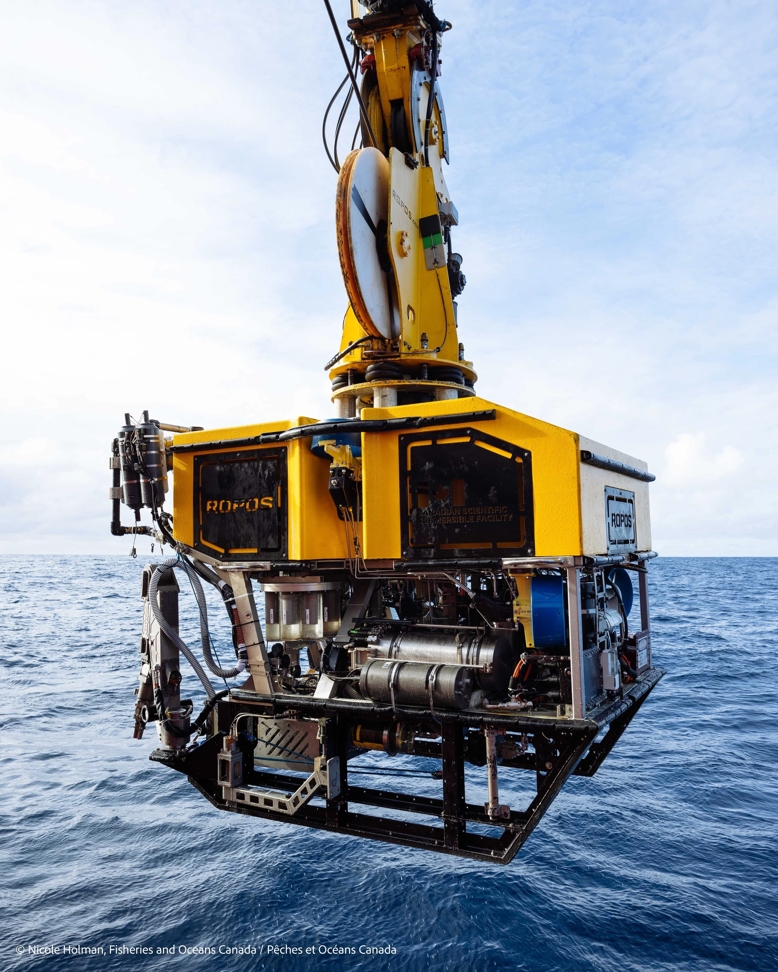 Photos — NorthEast Pacific Deep-sea Exploration Project (NEPDEP)