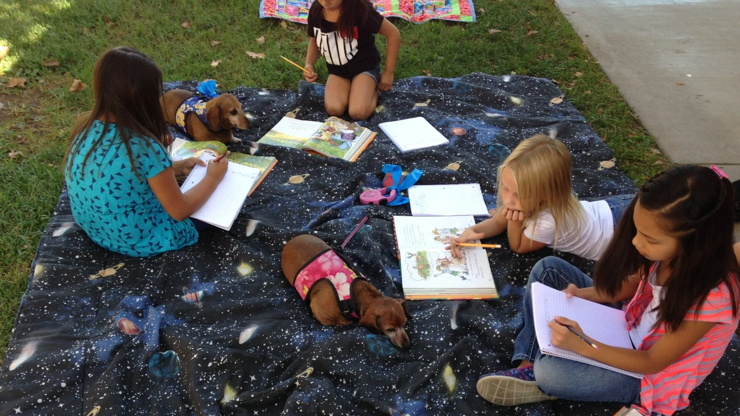 Hershey Dog's Adventures — Narmare Publishing LLC