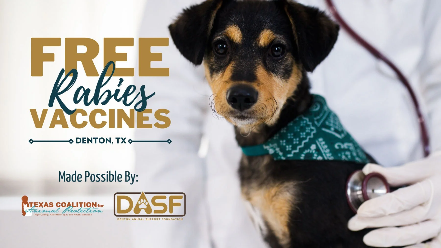 FREE Rabies and Low-Cost Vaccine Clinic — Sponsored by DASF — Denton ...