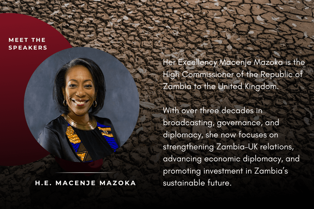 Meet the Speakers: Her Excellency Macenje Mazoka — UCLA Law The Promise ...