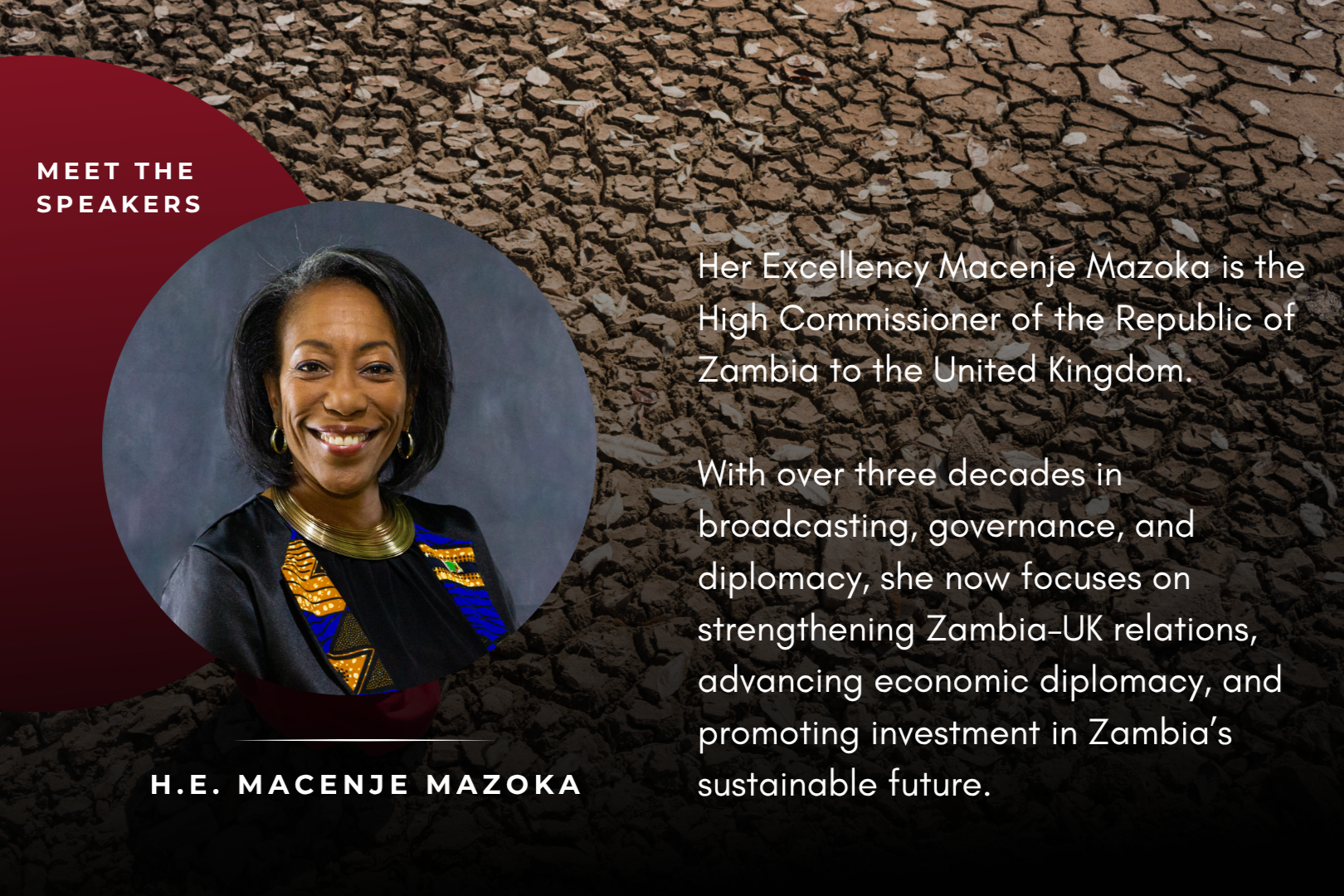 Meet the Speakers: Her Excellency Macenje Mazoka — UCLA Law The Promise ...
