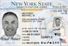 Getting an ID in NYC — RIF Asylum Support