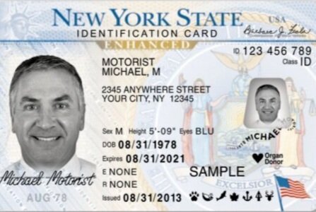 Getting an ID in NYC — RIF Asylum Support