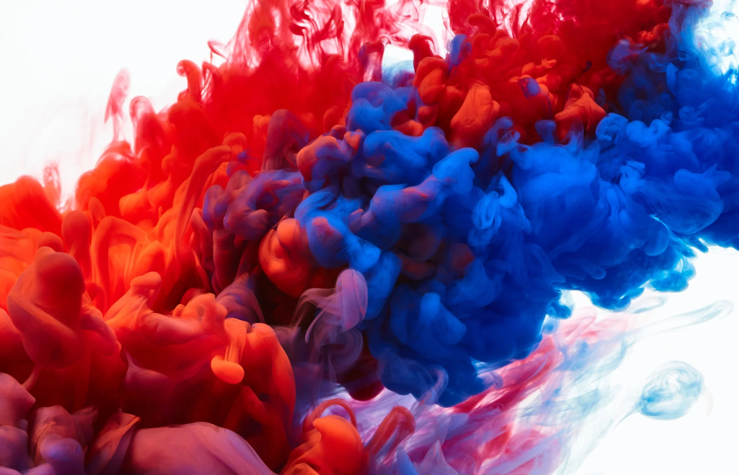 Color Wars — camp51