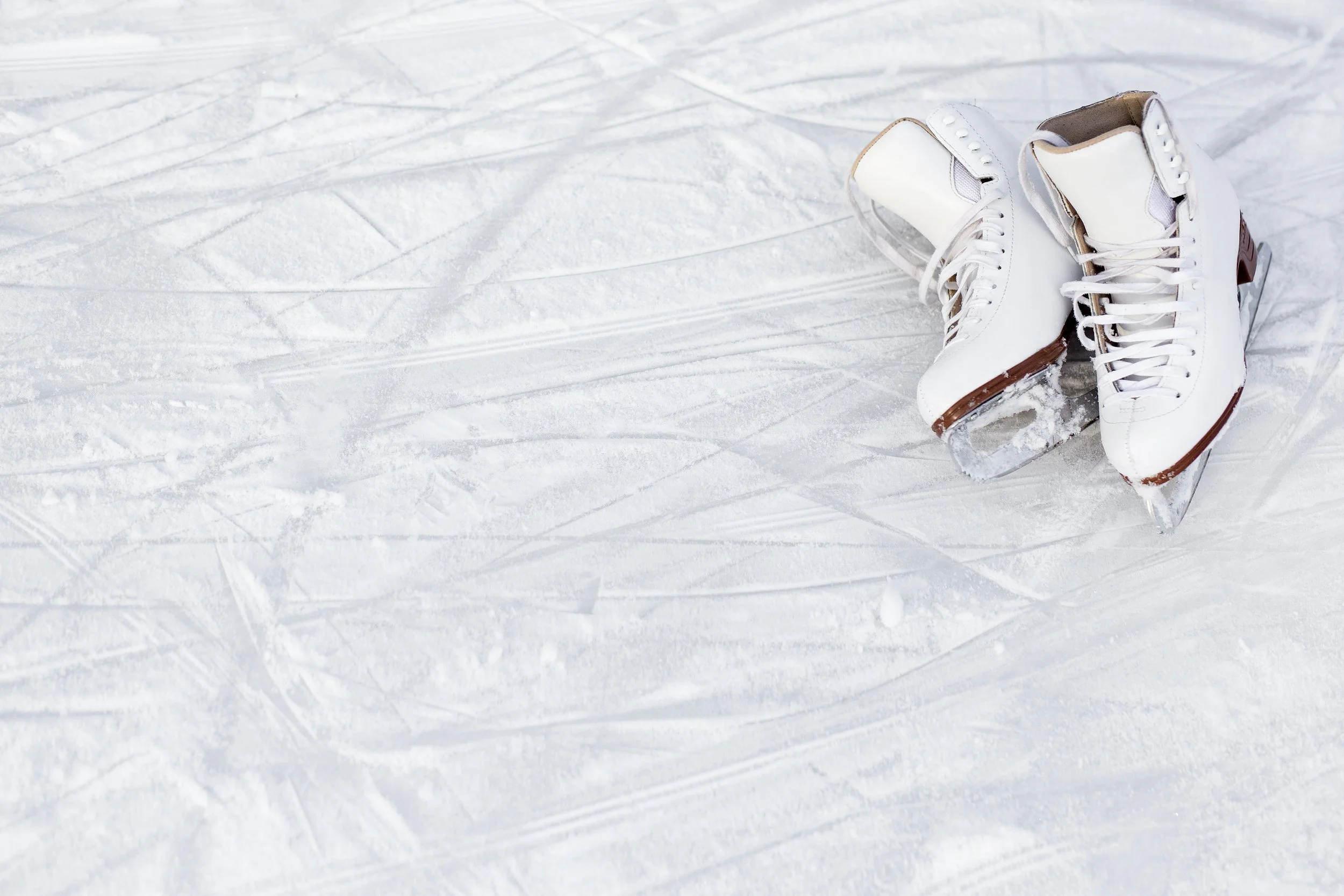 Premier Skating Academy