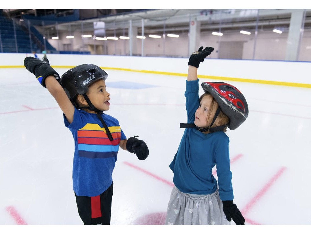 Premier Skating Academy