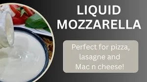 Don't buy Miyoko's Liquid Mozzarella again! — The Vegan Foodie Girl