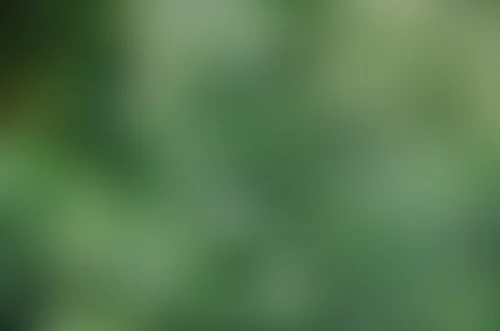 About Vertelo - Tailored E-mobility Solutions in India — Vertelo