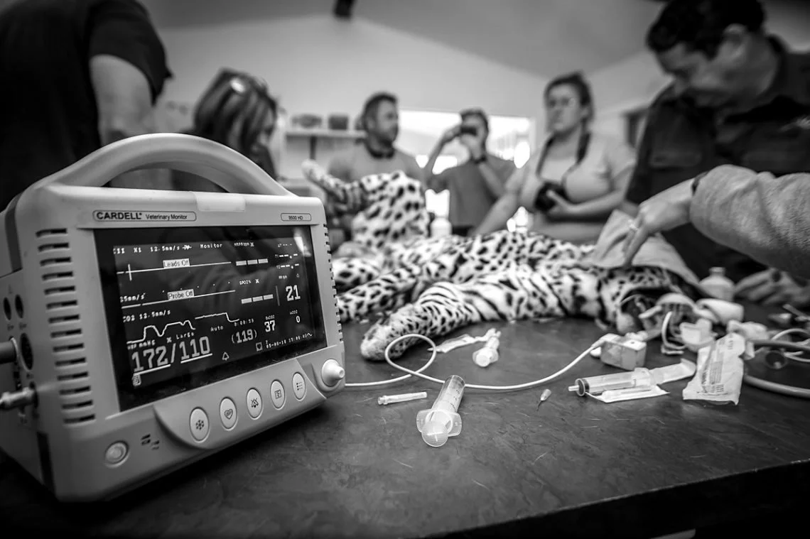 About Us — Wildlifevets.com