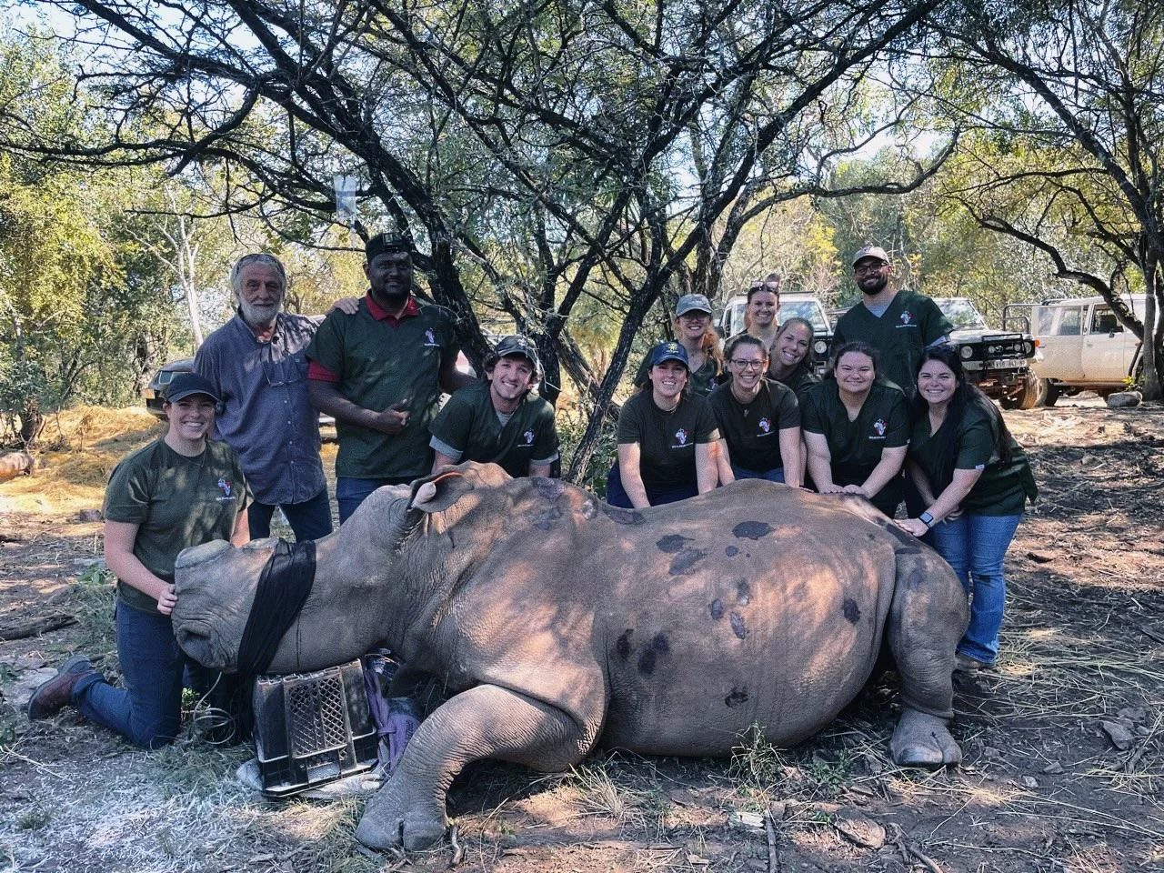 About Us — Wildlifevets.com