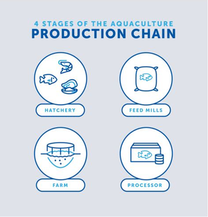 Everything you need to know about the Best Aquaculture Practices (BAP ...