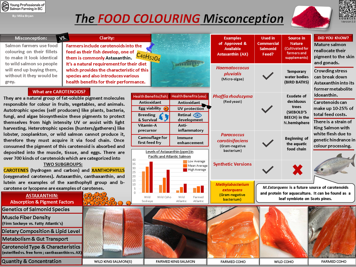 How do farmed salmon REALLY get their colour? — Seaside with Emily