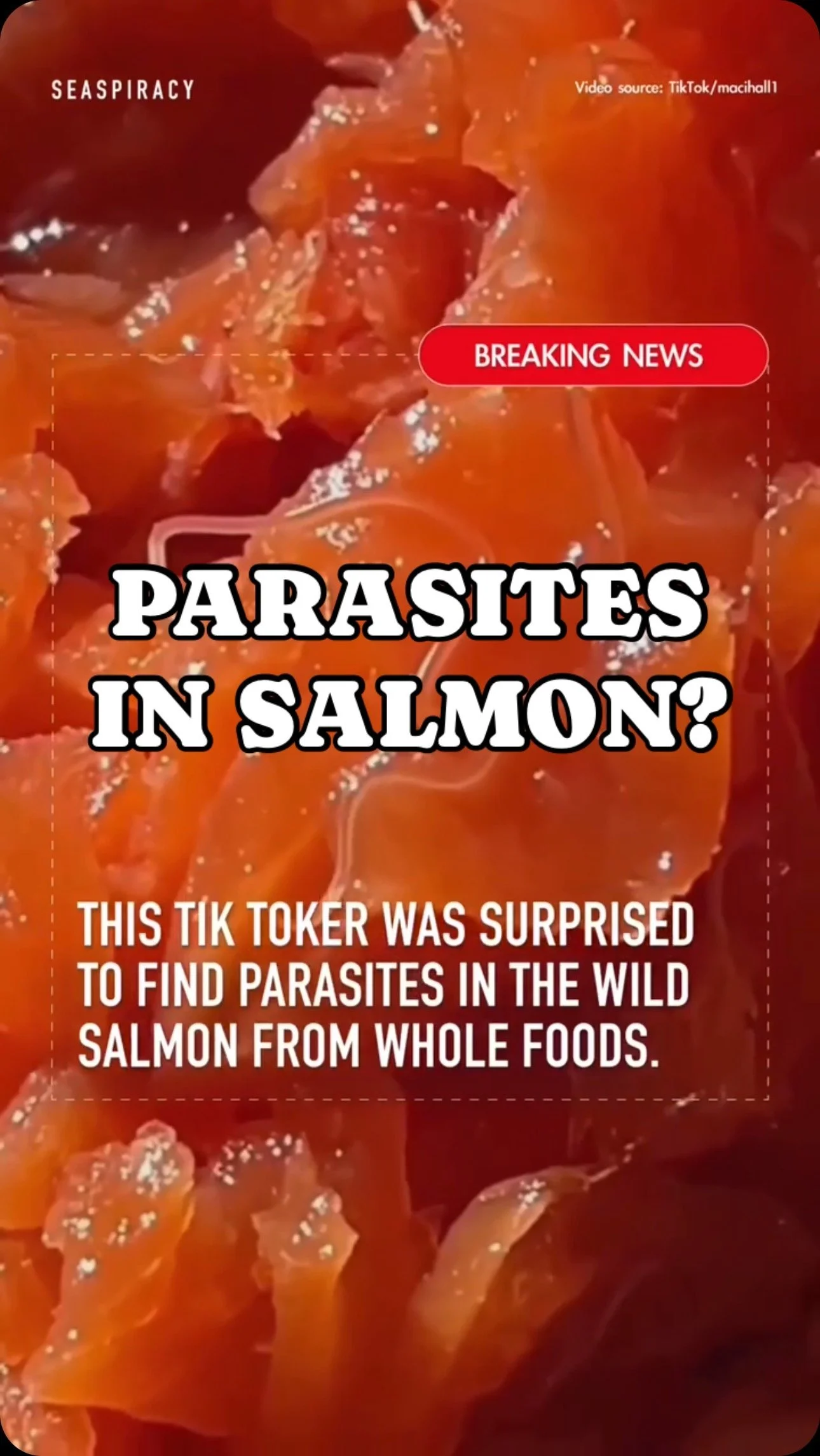 How do farmed salmon REALLY get their colour? — Seaside with Emily