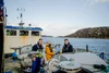 A Journey Through the Scottish Highlands: Loch Duart, A World-Class ...
