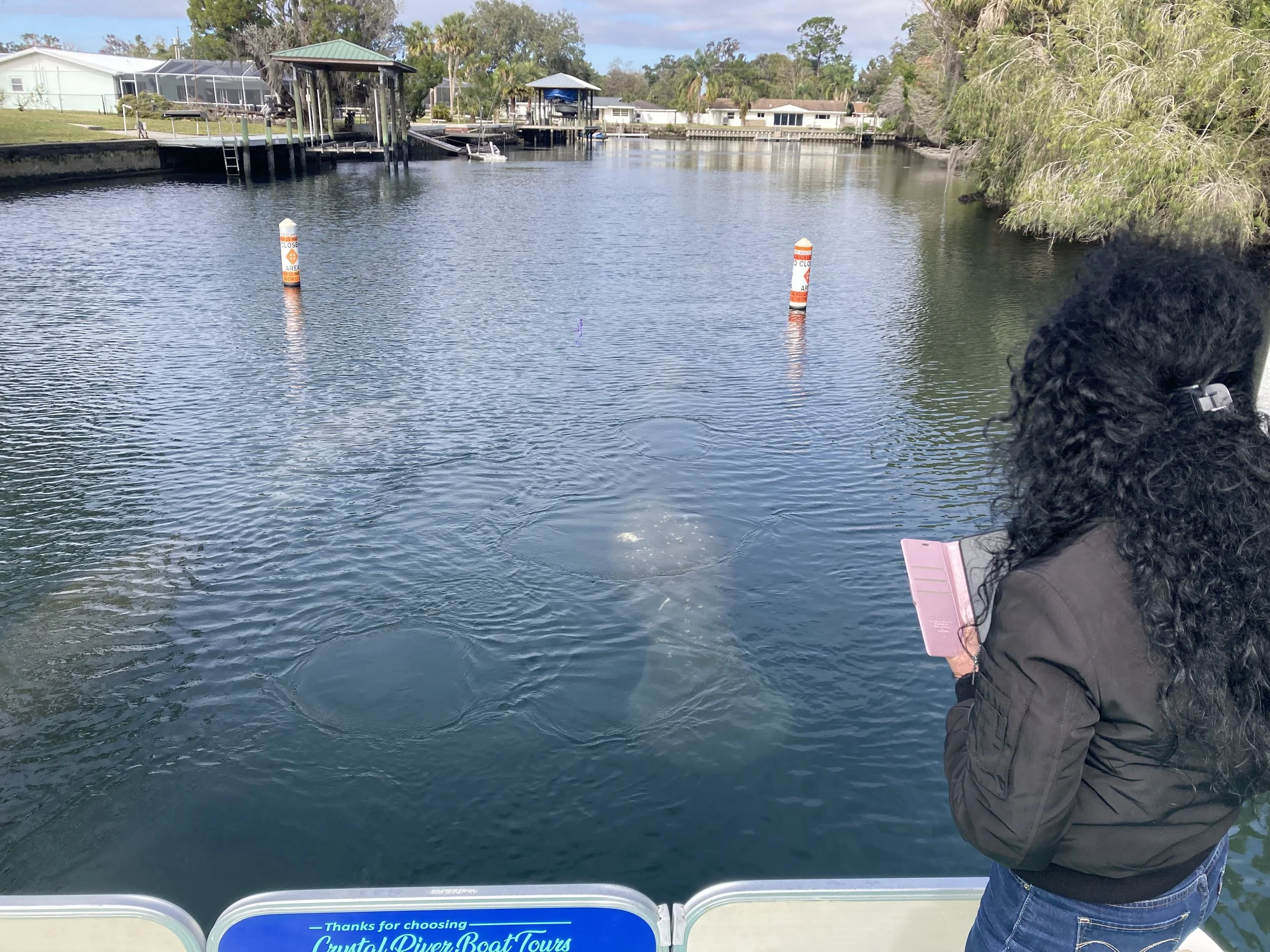 Crystal River Boat Tours - Manatee Viewing Tours, Eco Tours, Small Groups