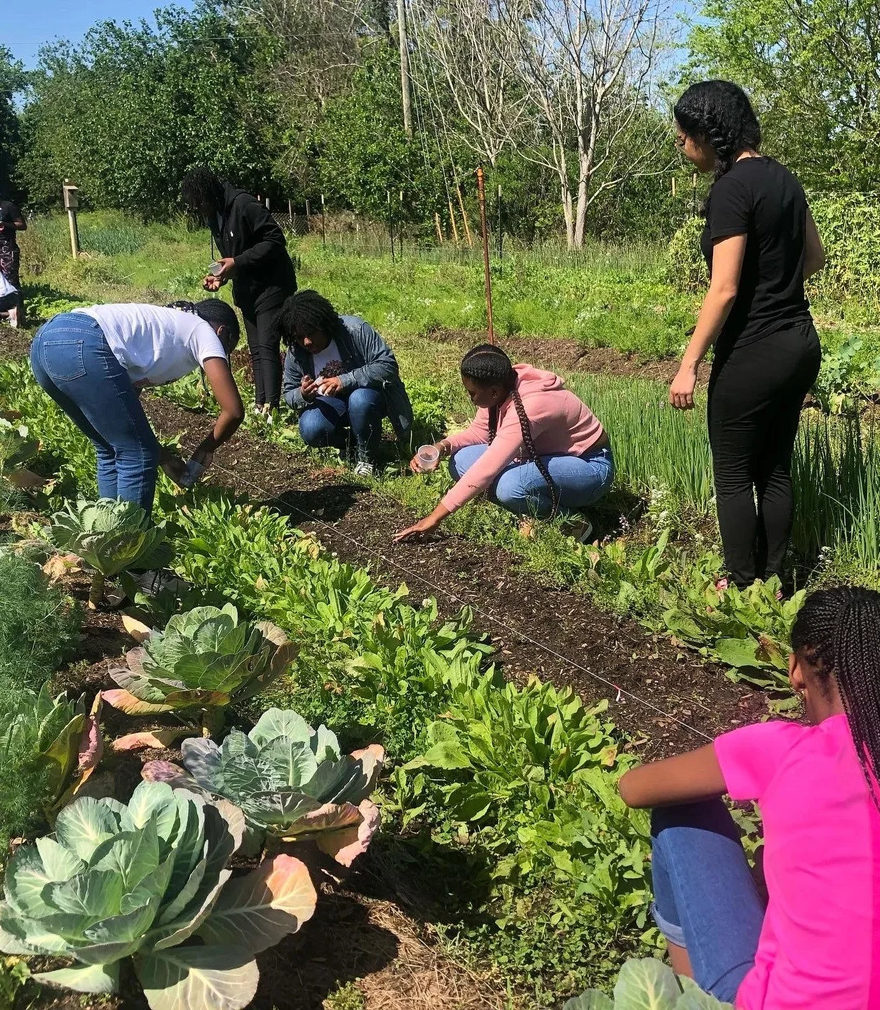 Programs — Eartha's Farm and Market