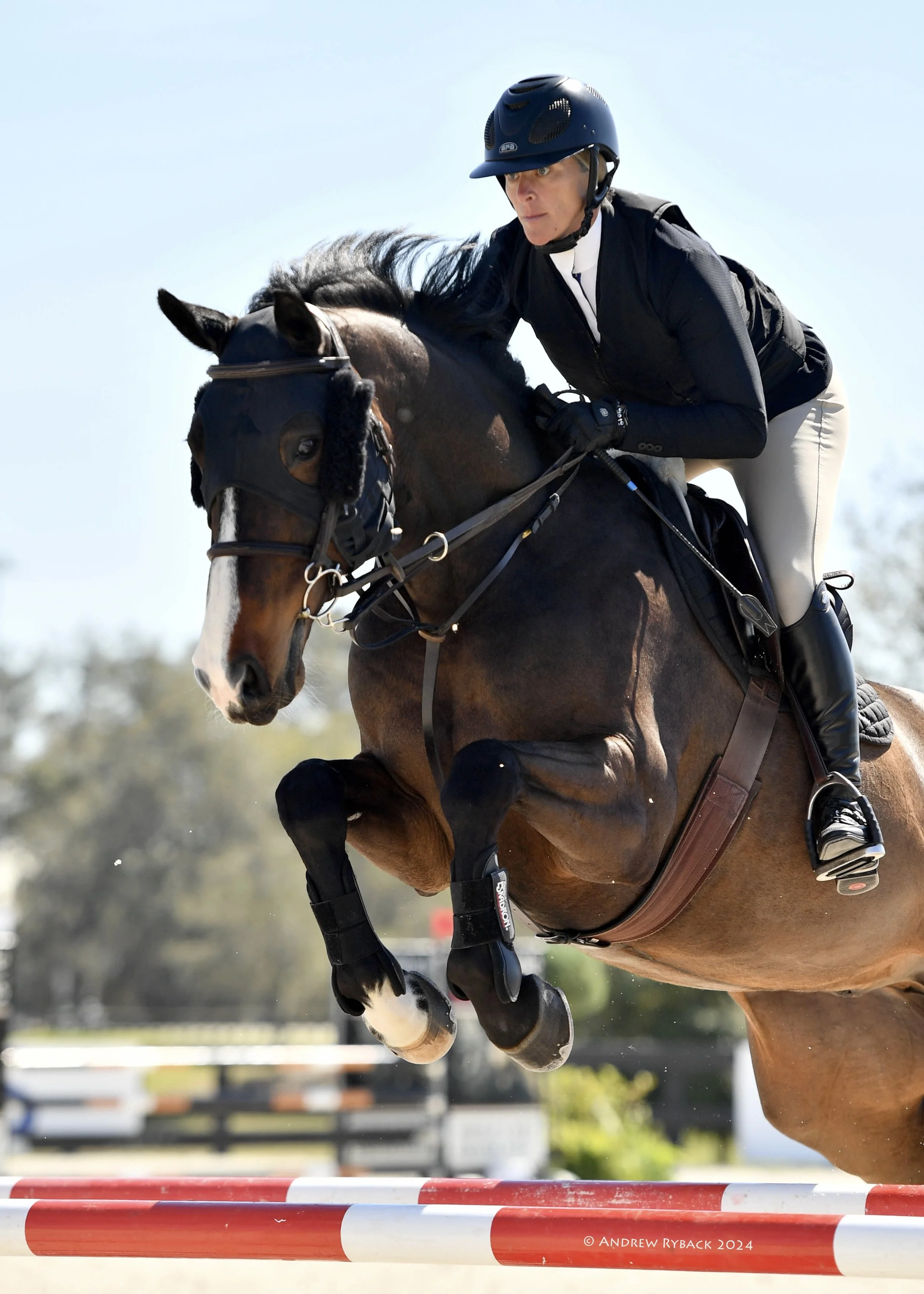 Gallery — Foggy Meadow Farm