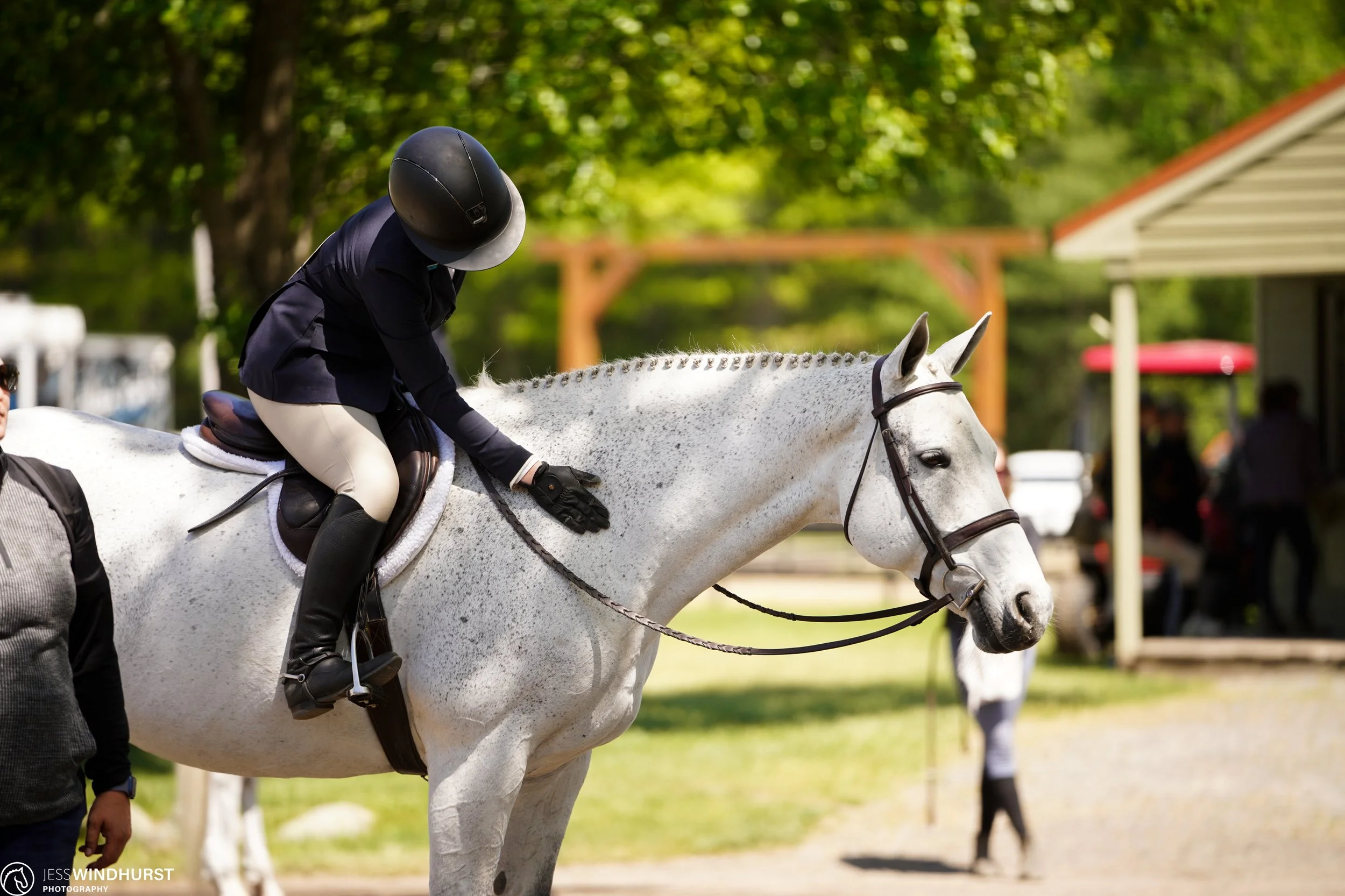 Gallery — Foggy Meadow Farm