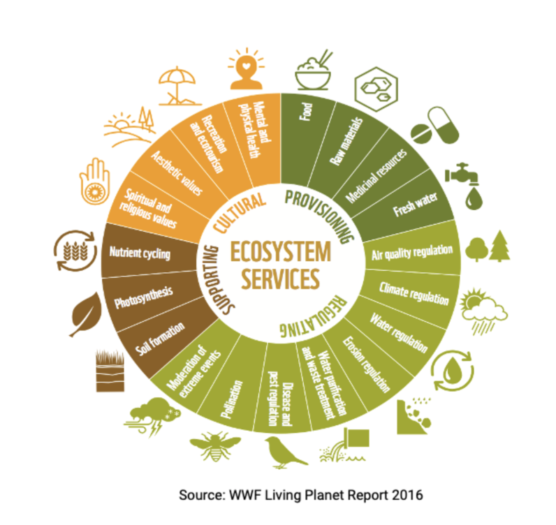 Mapping biodiversity hotspots around your agricultural value chain ...