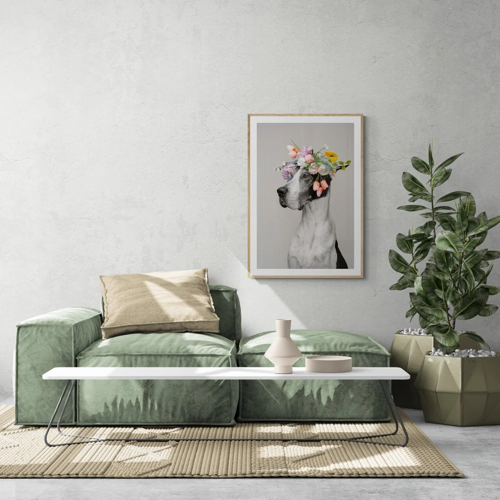 Woof House Studio