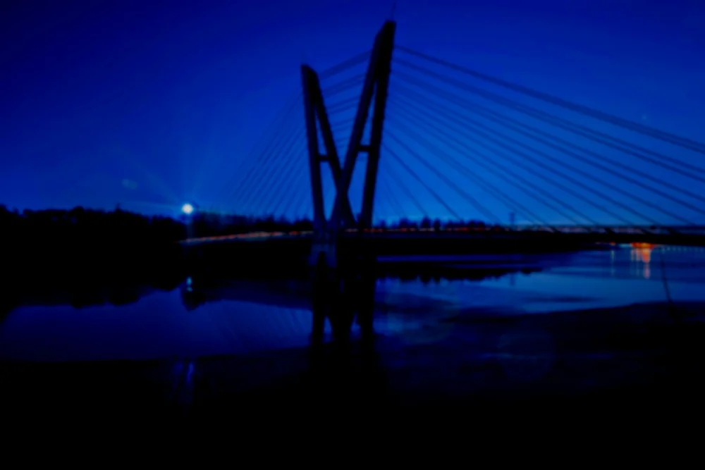 ARA Services Partners